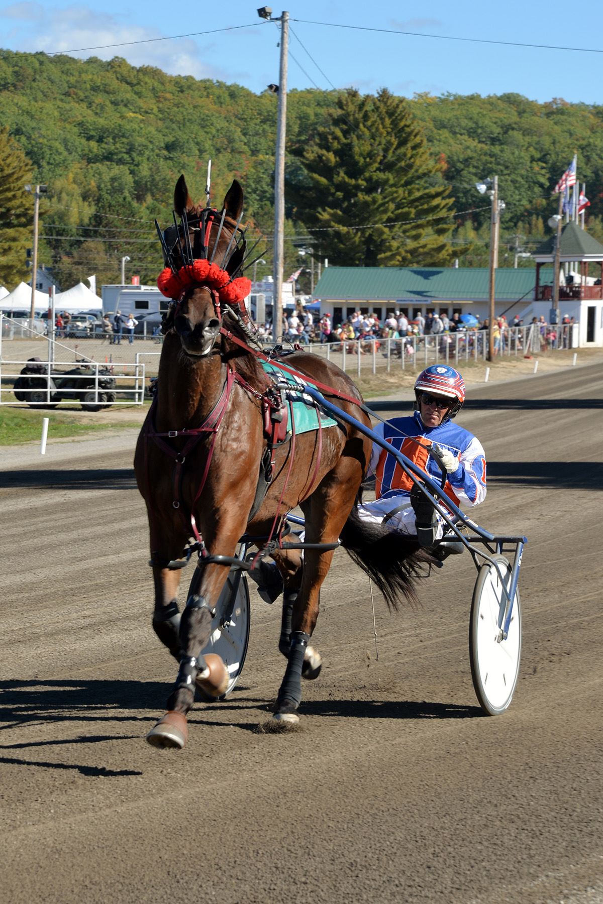 Harness Racing