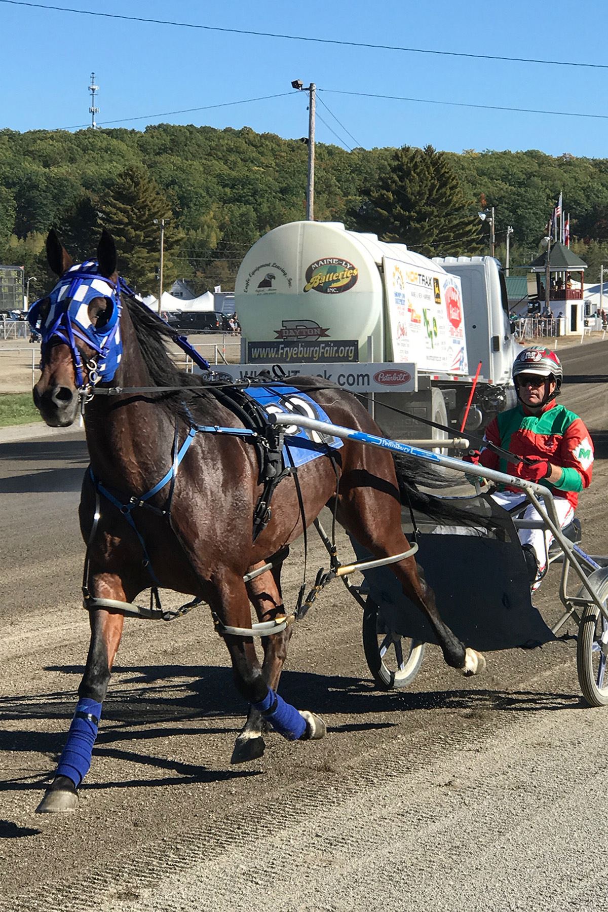 Harness Racing