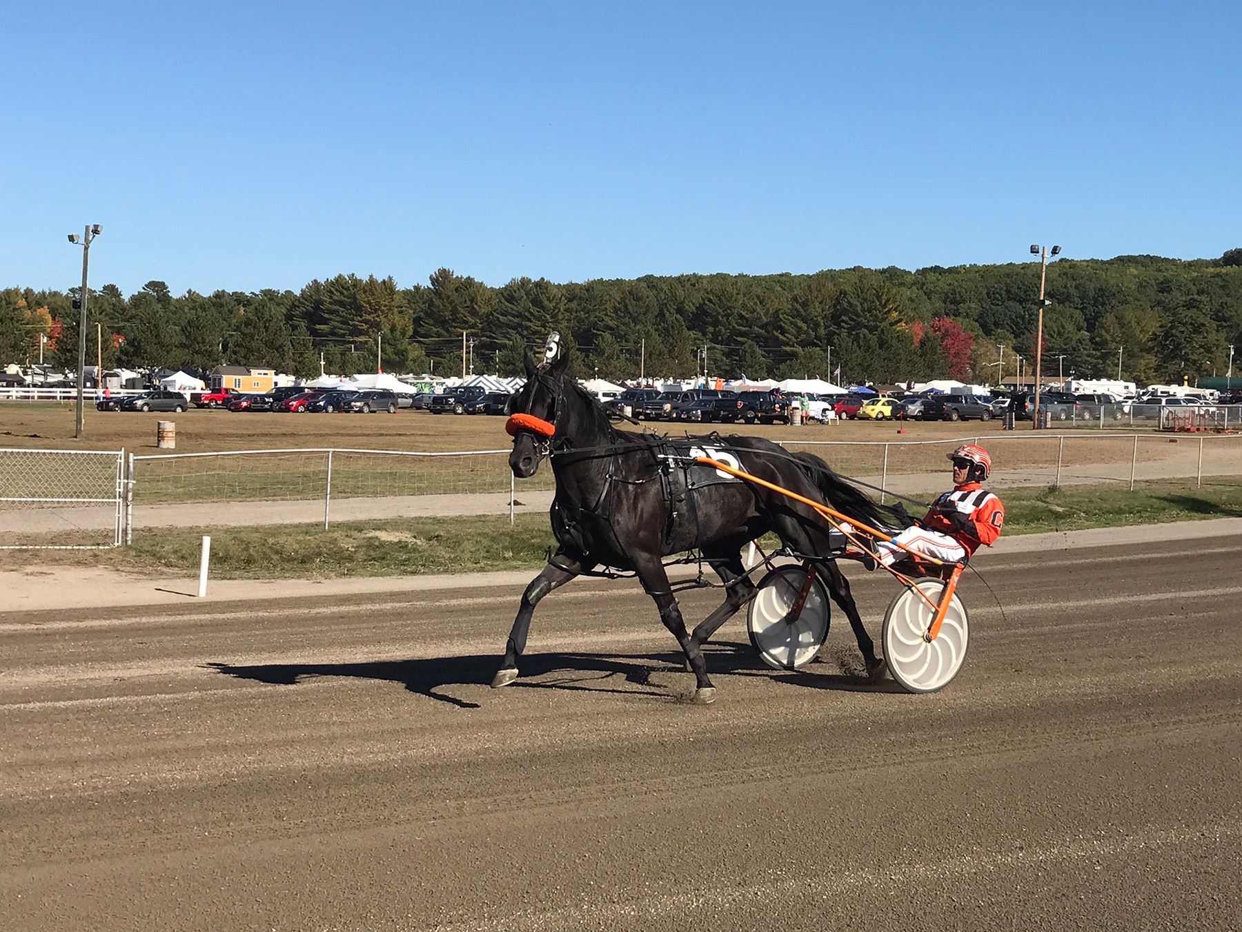 Harness Racing