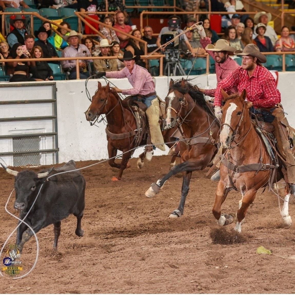We’re Getting a Head Start on all the 2024 State Fair Fun!