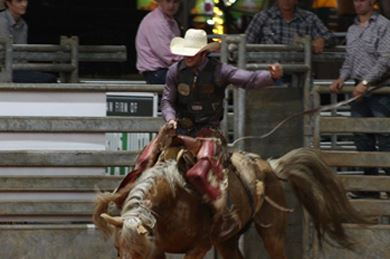 St Lucie County Fair
