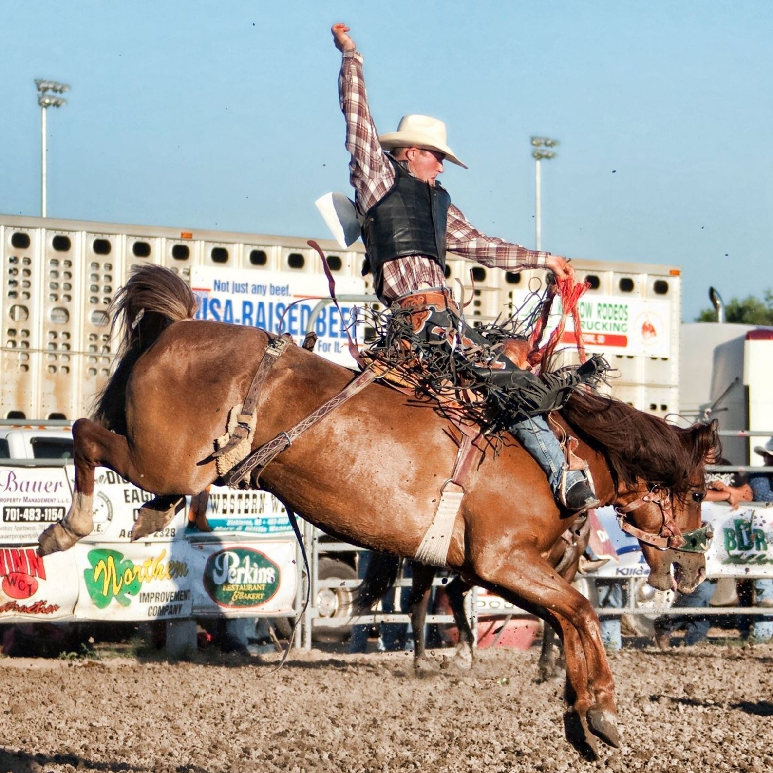 Dickinson, ND | Theodore Roosevelt National Park