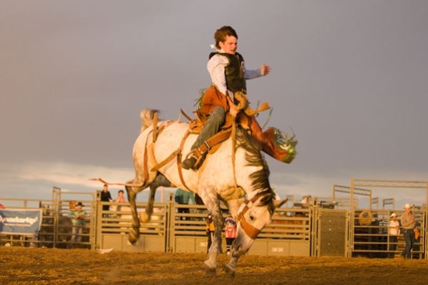 Rodeo Arena