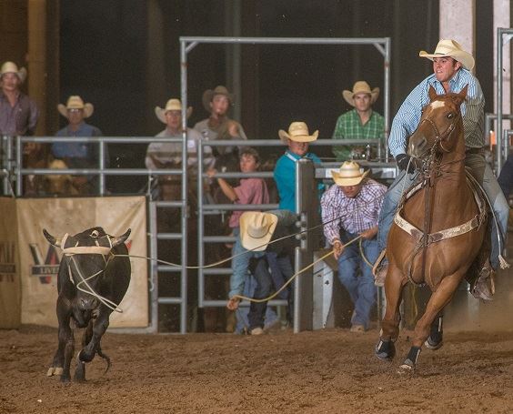 NM State Fair Rodeo