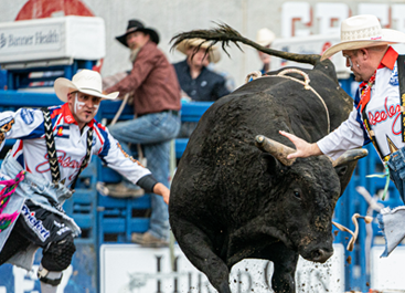 Greeley Stampede