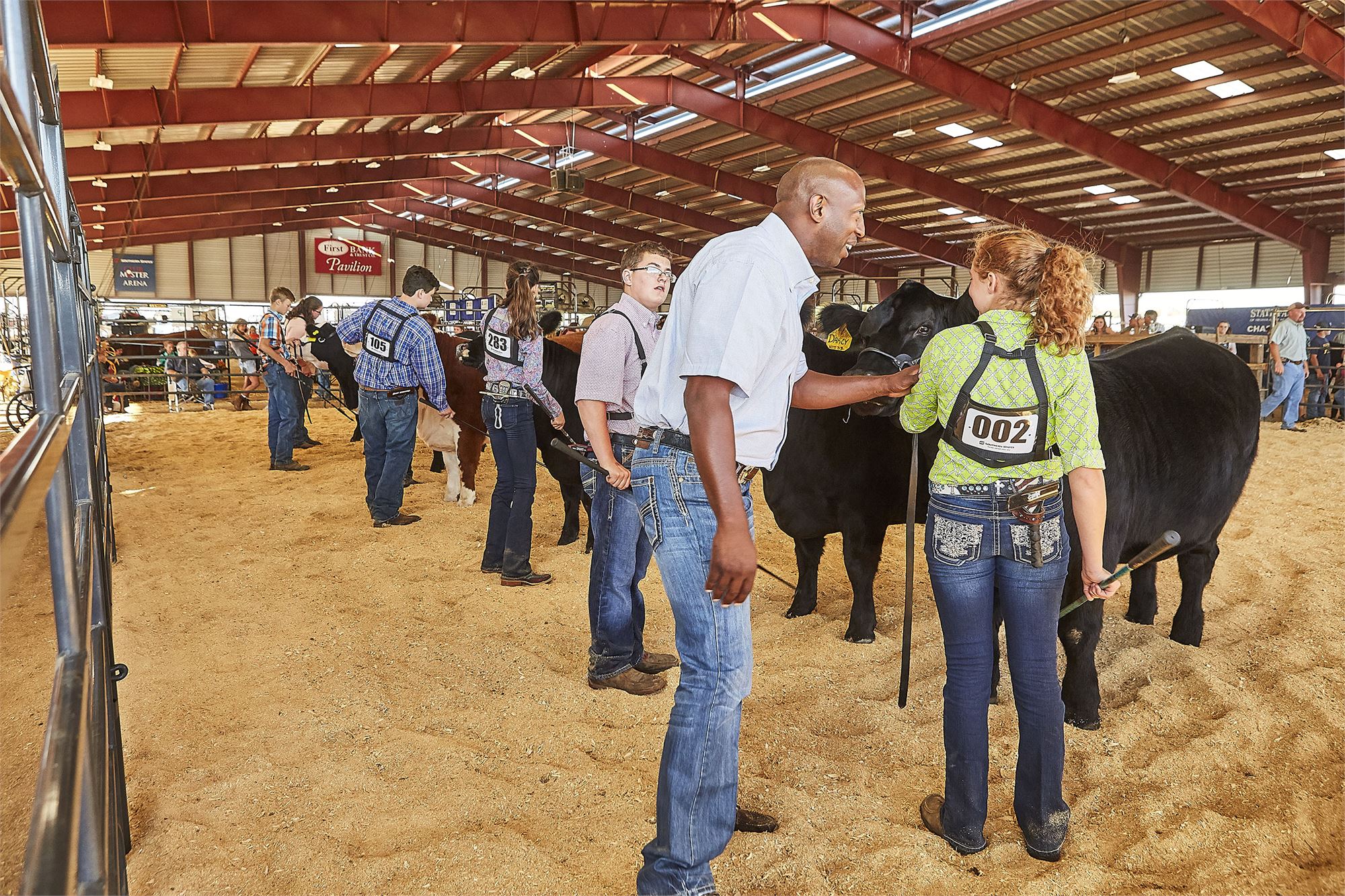 Livestock Competitions
