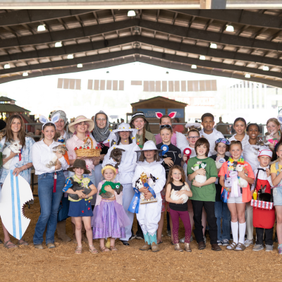 Competitions, Contests & Shows