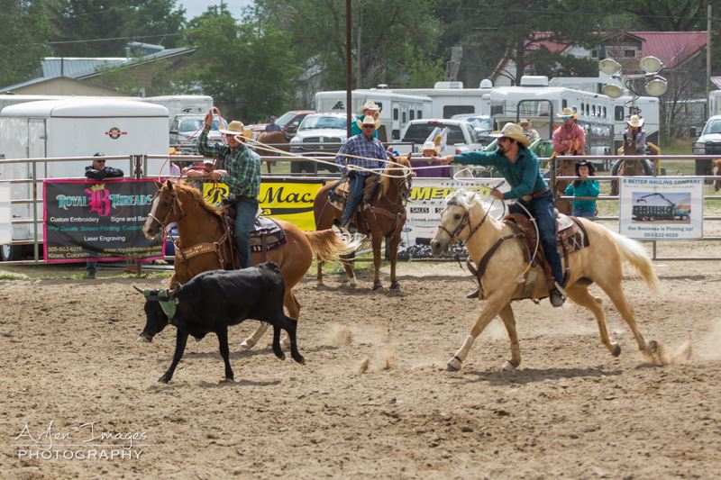 Photo Gallery & Credits