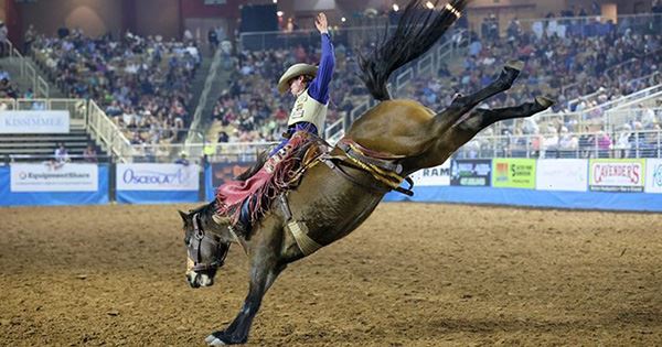 Buy Silver Spurs Rodeo Tickets