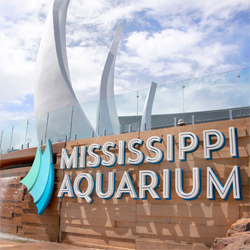 Mississippi Aquarium