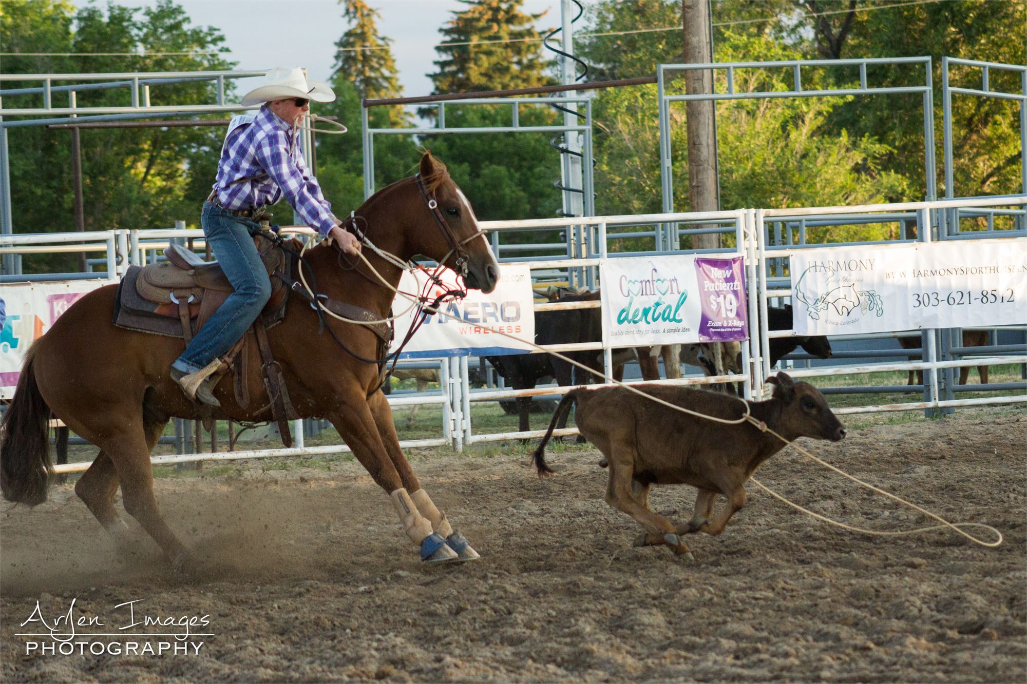 Photo Gallery & Credits