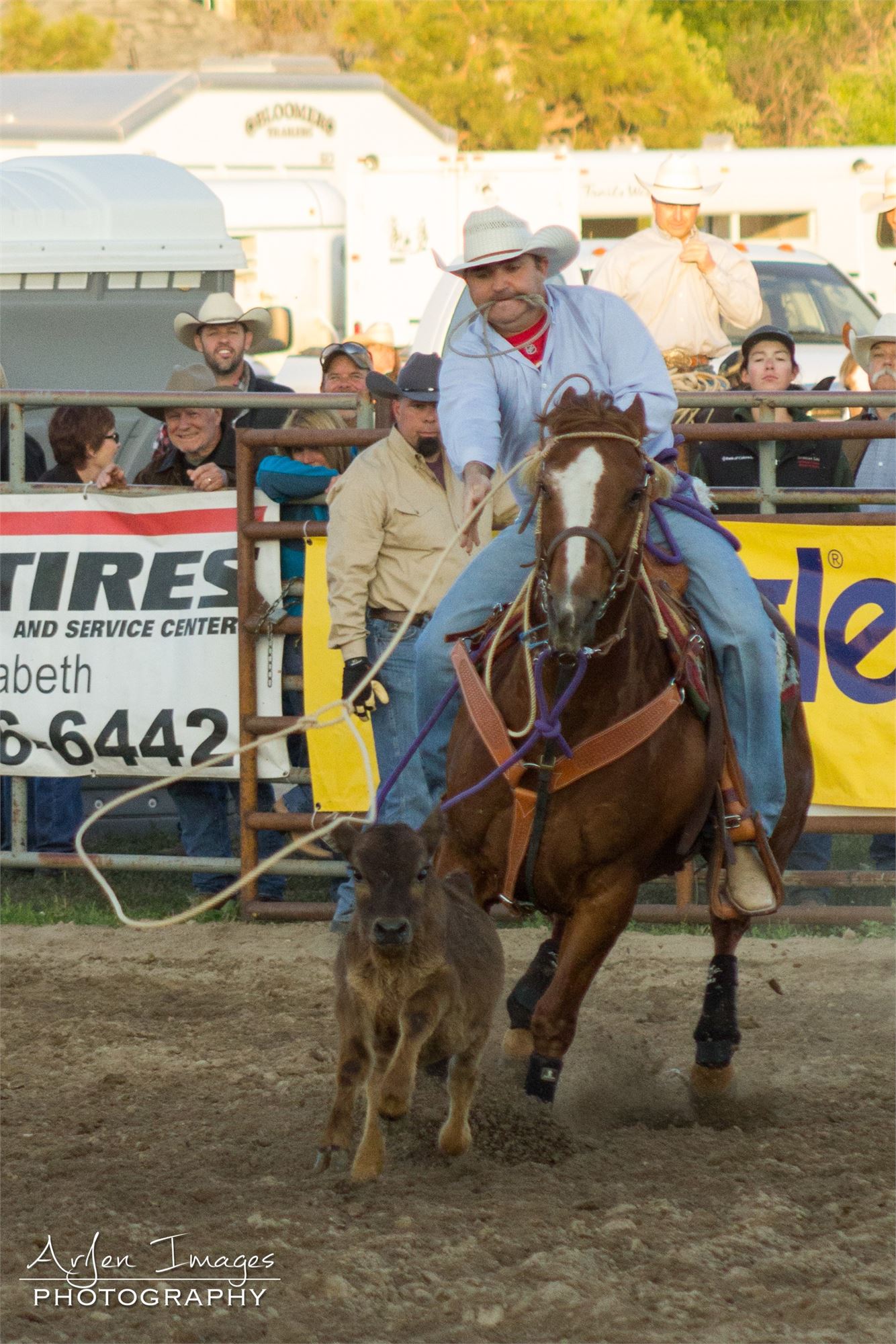 Photo Gallery & Credits