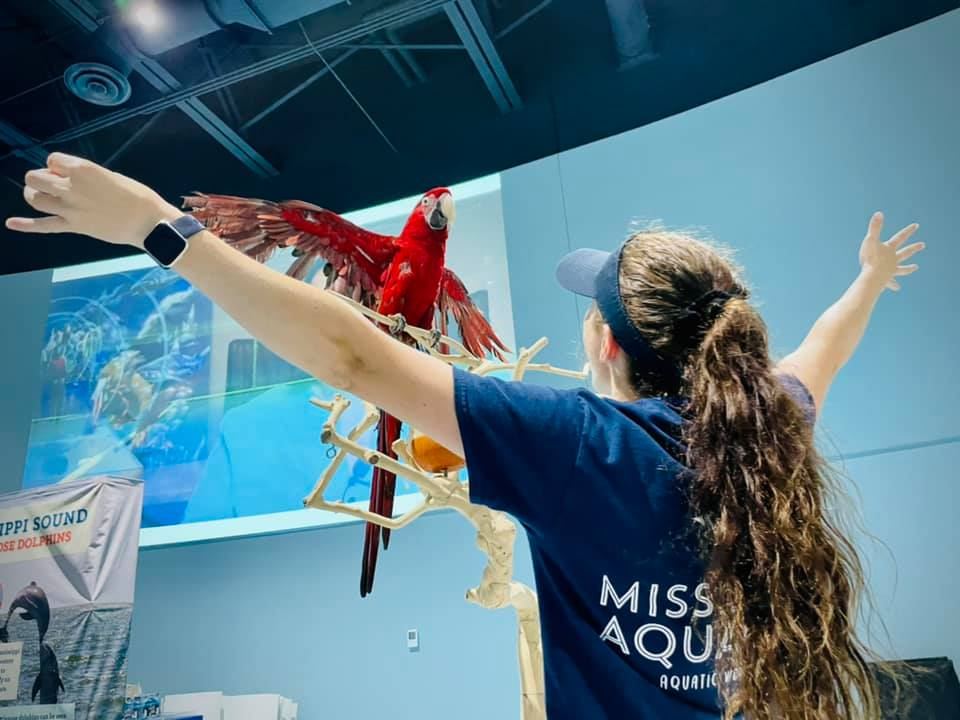 Training & Enrichment at Mississippi Aquarium