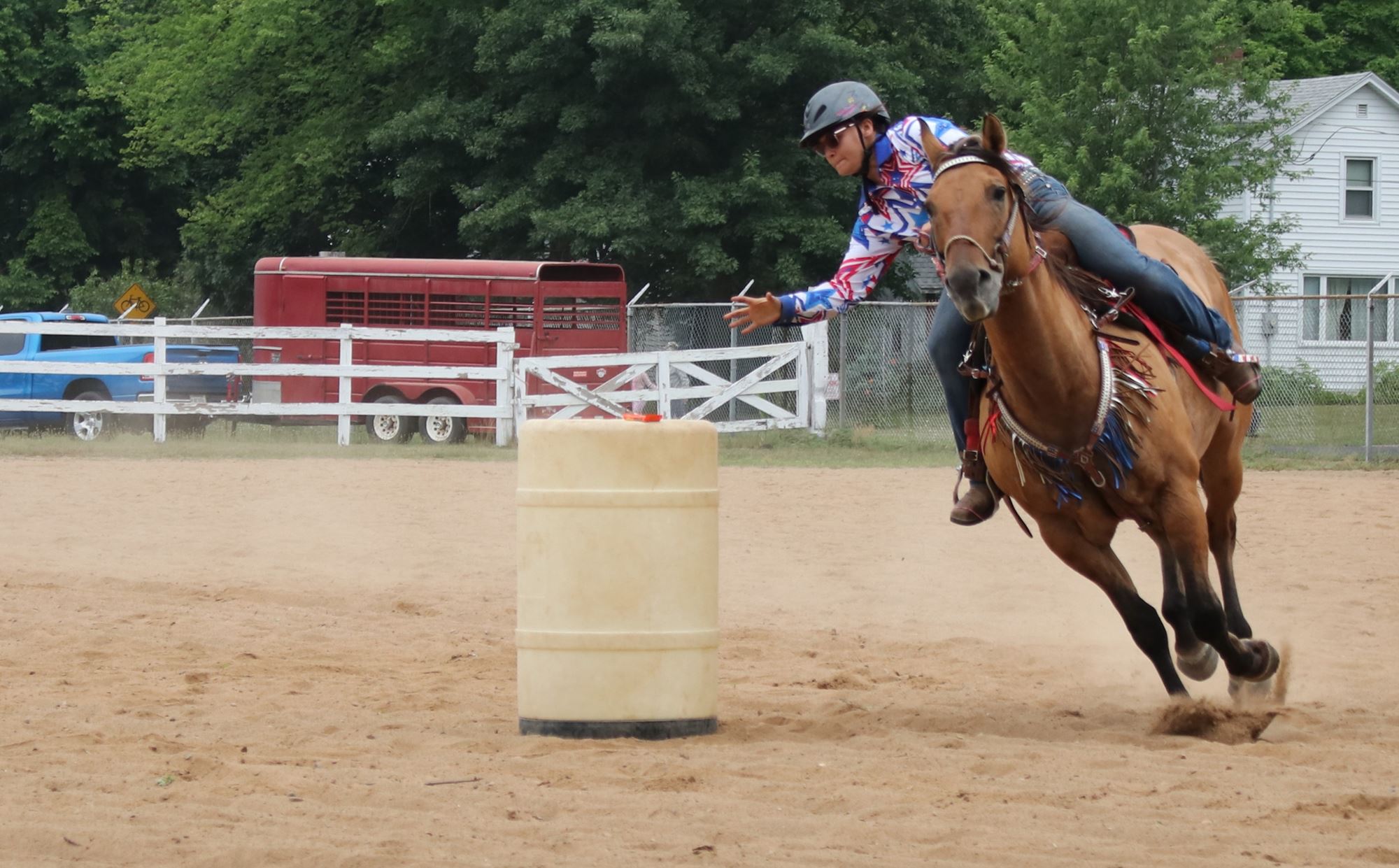 Junior Division Exhibits