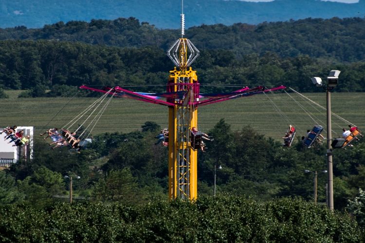 2013 Fair Photo Gallery
