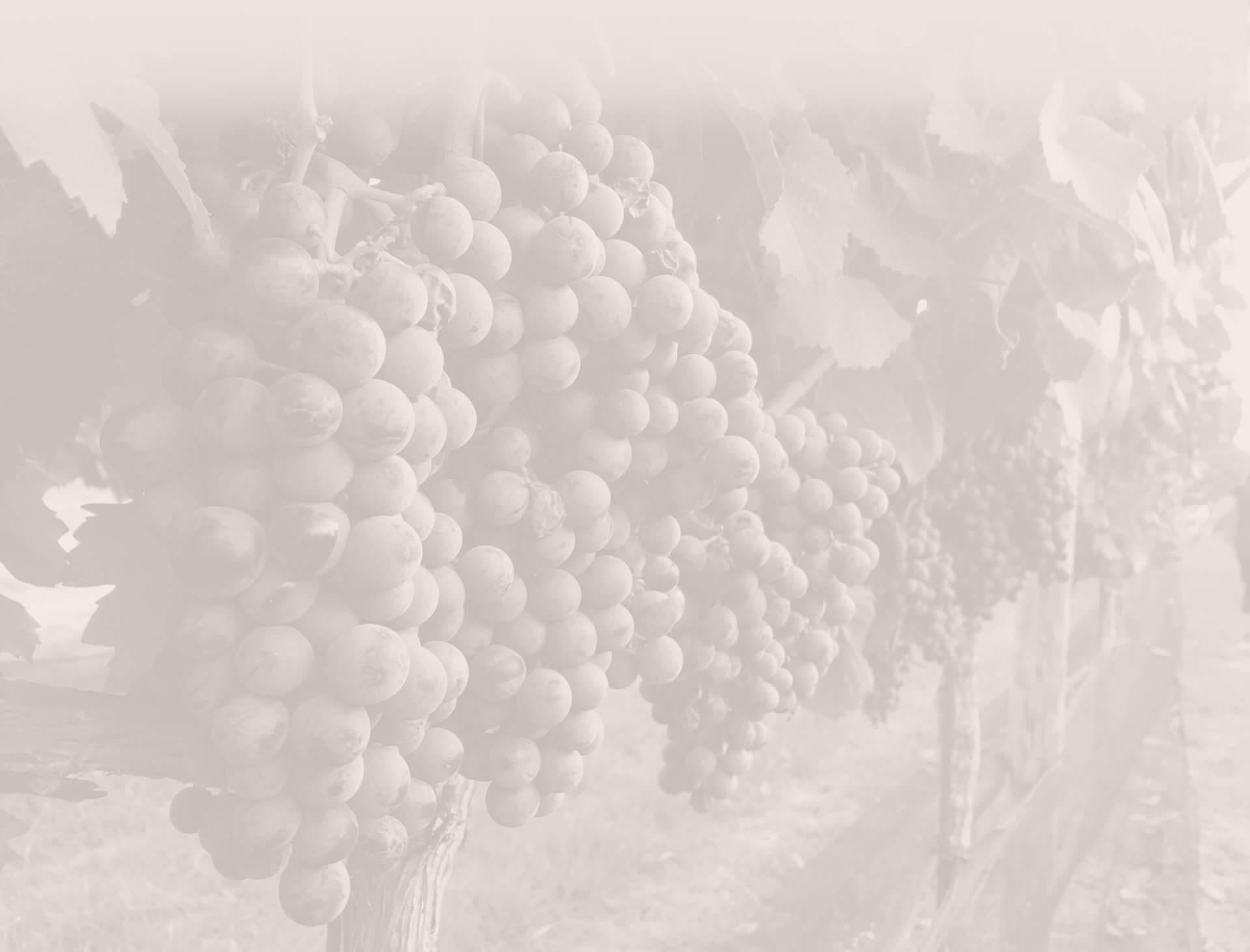 2025 Dripping Springs Songwriters Festival - Dripping Springs, TX